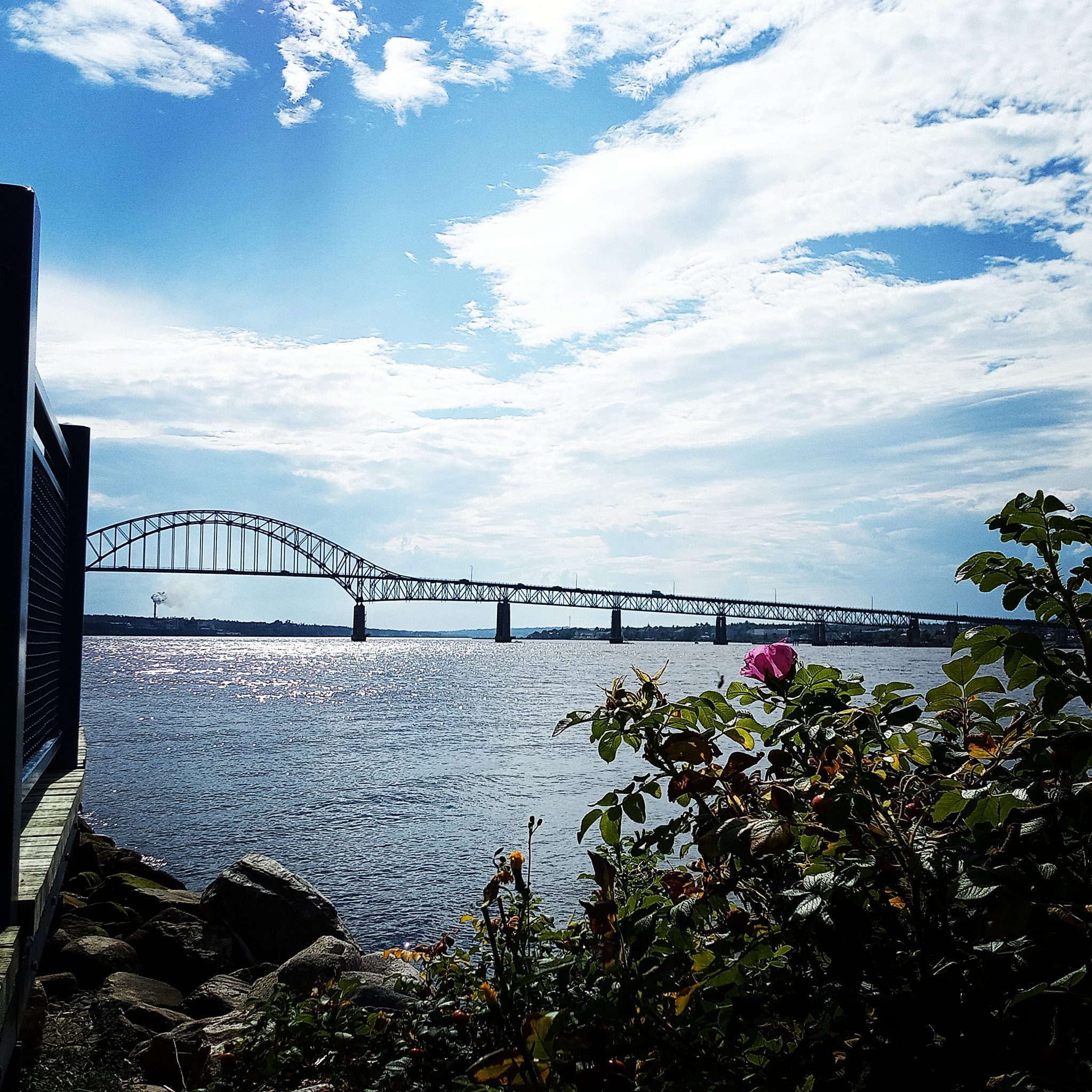 Visite de Miramichi - Que faire, Que voir & Retour d'expérience ...